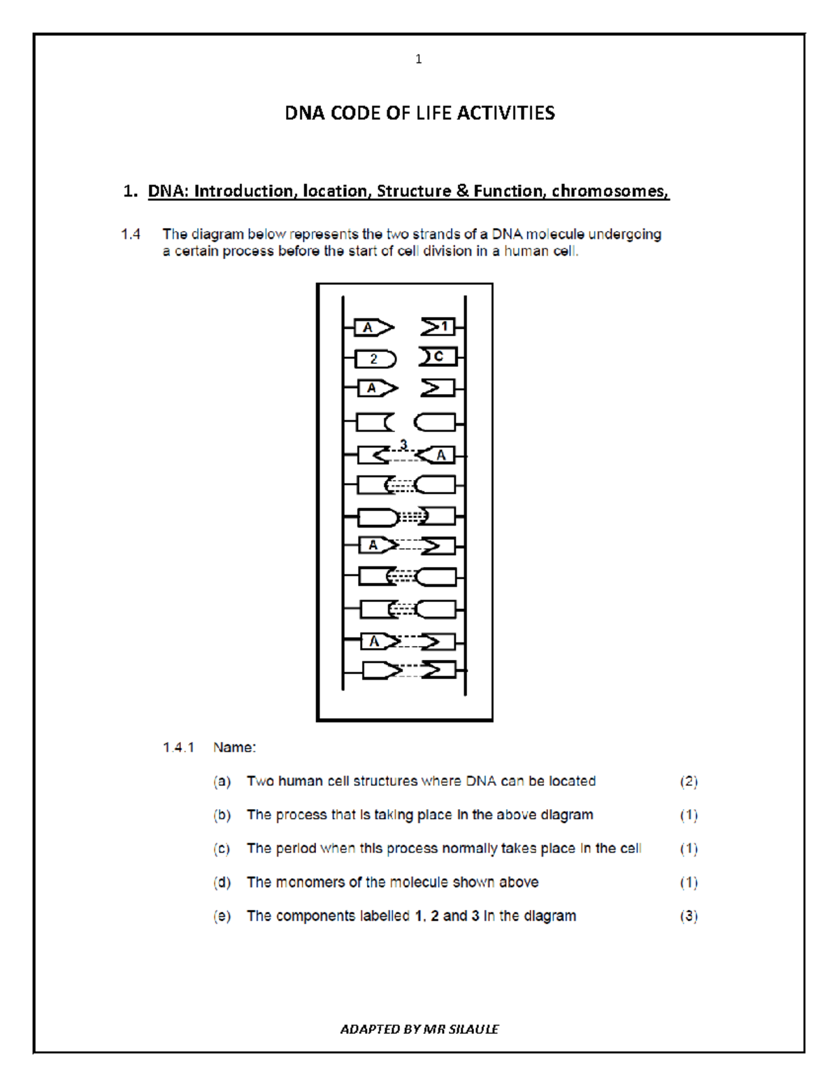 DNA CODE OF LIFE Activities Solutions: Replication & Structure Overview ...