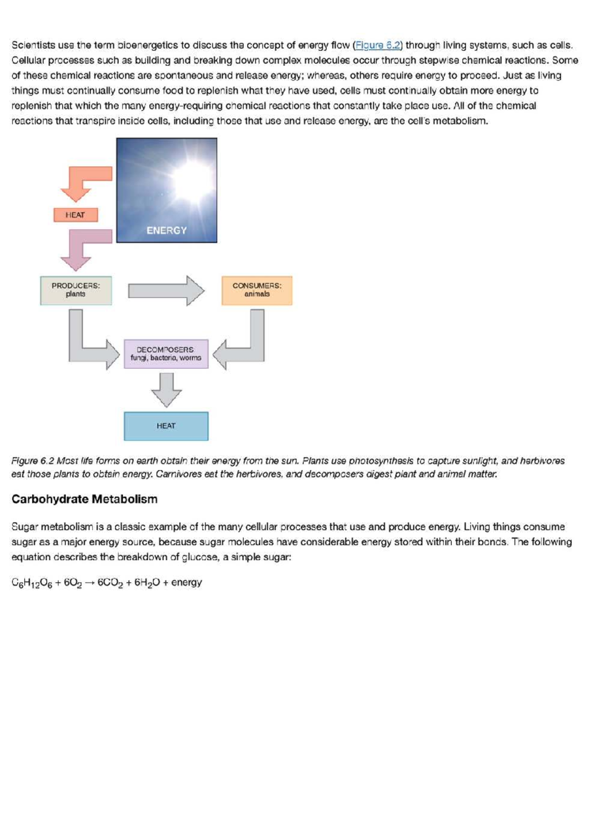BIO 101: Lecture Notes on Bioenergetics and Metabolism - Studocu