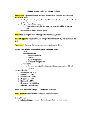 Introduction to Physical Anthropology - Anthropology Anthropology - the ...