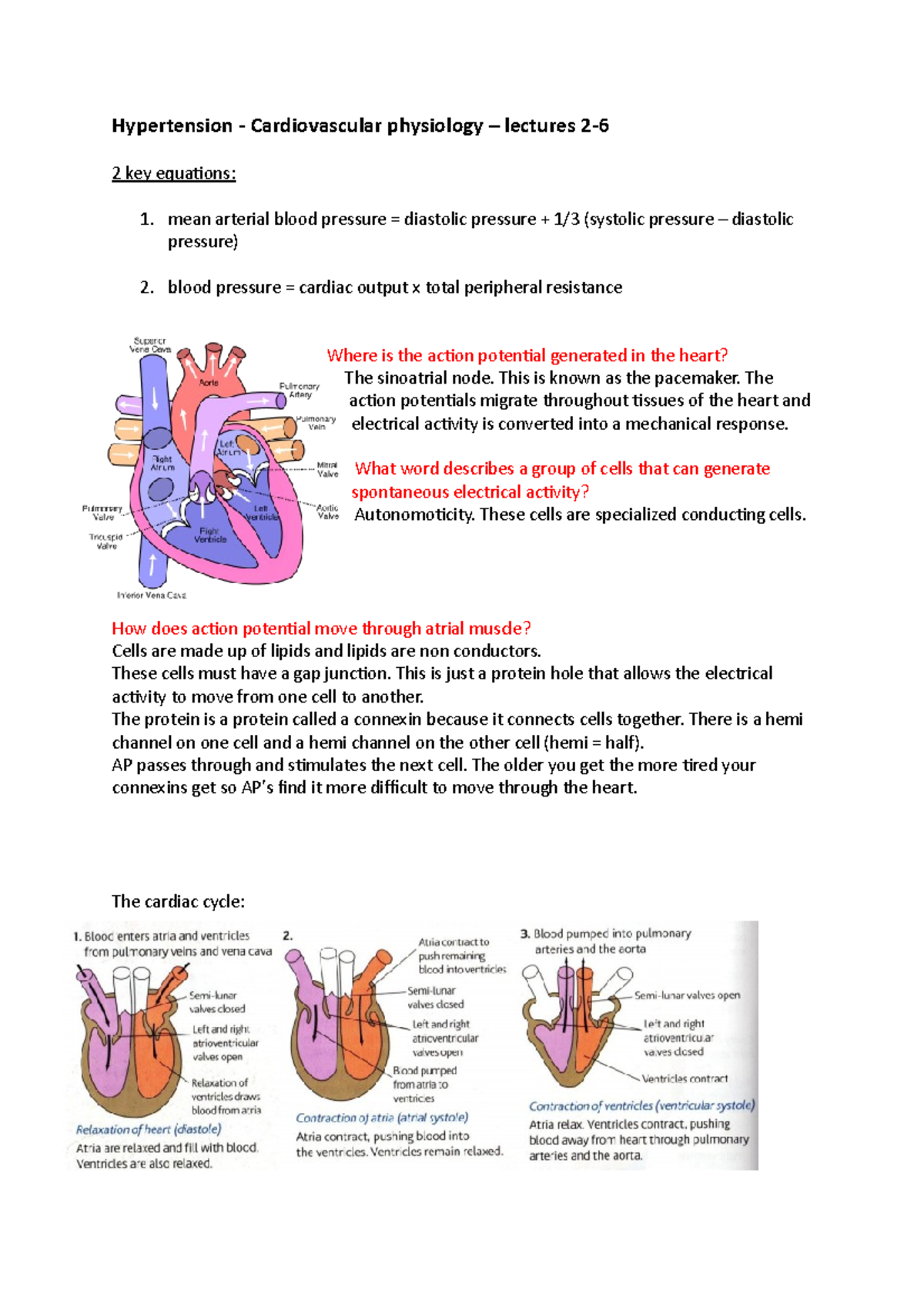 Hypertension - Lectures 2-6 - Hypertension - Cardiovascular physiology ...