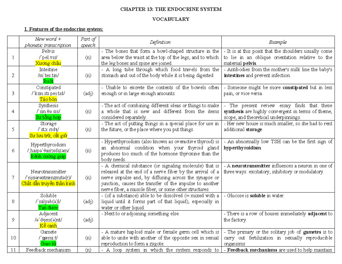 Chapter 13 - THE Endocrine System - CHAPTER 13: THE ENDOCRINE SYSTEM ...