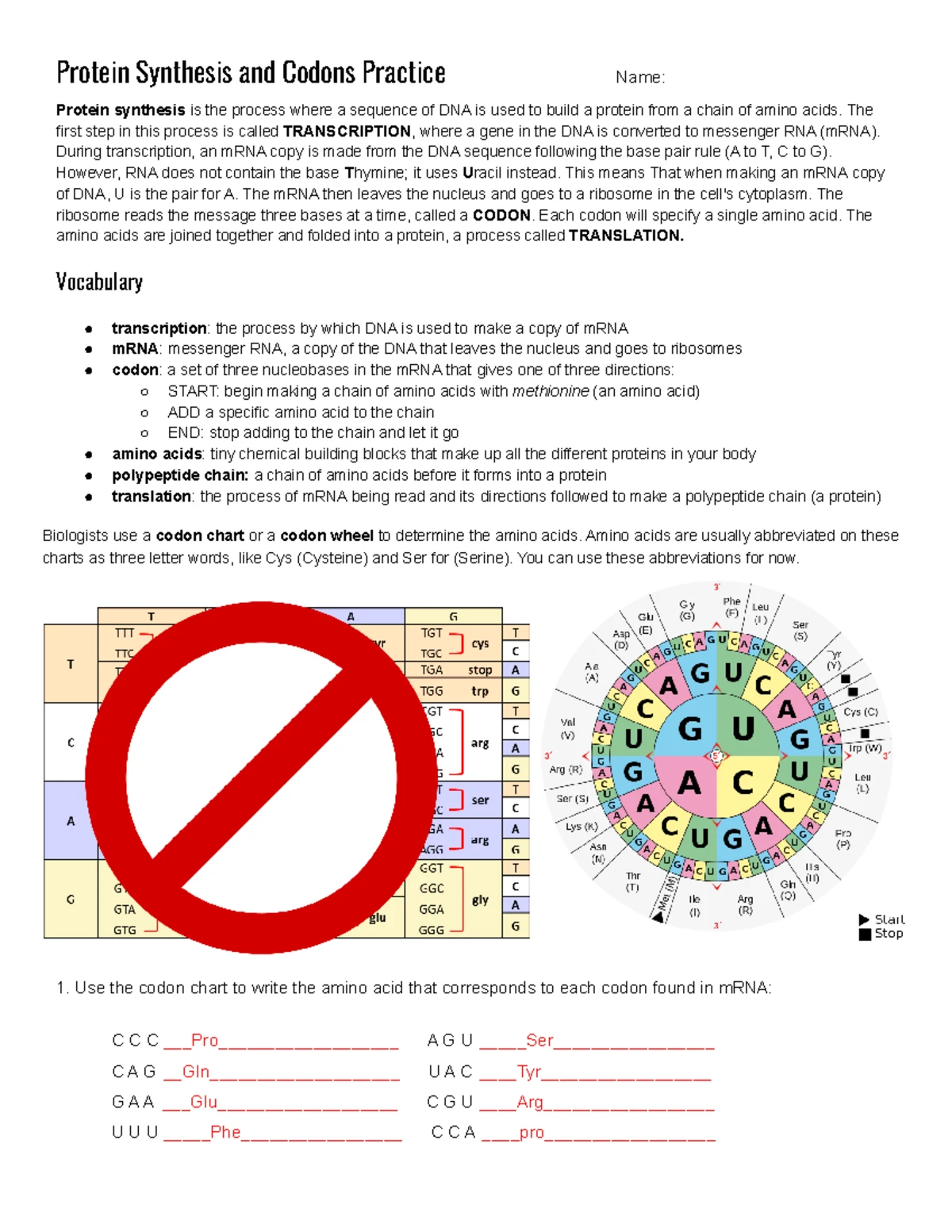 Photosynthesis Biointeractive - To use this document, first read the ...