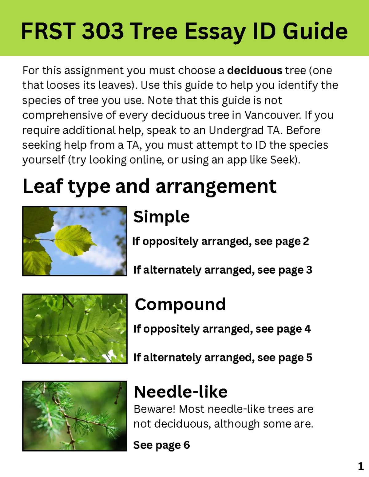 FRST 303 Tree Essay Identification Guide - Studocu