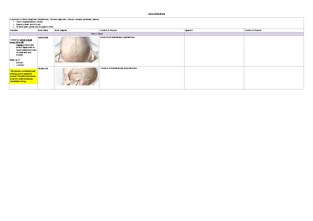 MEDI100 Axial Skeleton Overview: Skull and Facial Bones Summary - Studocu