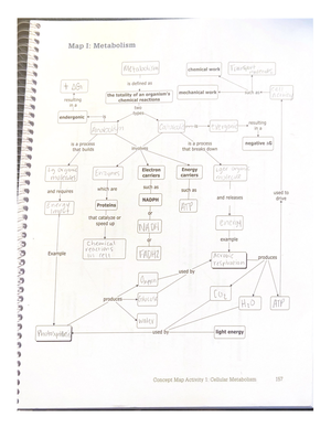 Finished lab 5 plants - Section: 553 Specimens Moss—antheridium Moss ...