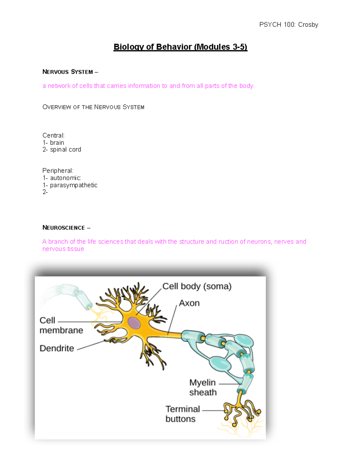 PSYCH 100 Final Exam Notes on Biology of Behavior (Modules 3-5) - Studocu