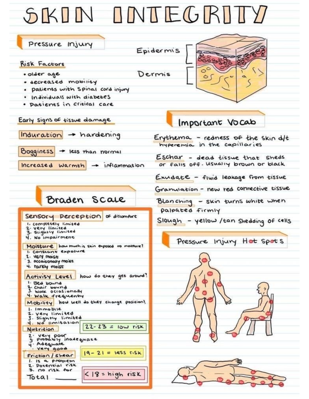 Skin integrity - pressure injuries, braden scale, risk factors ...