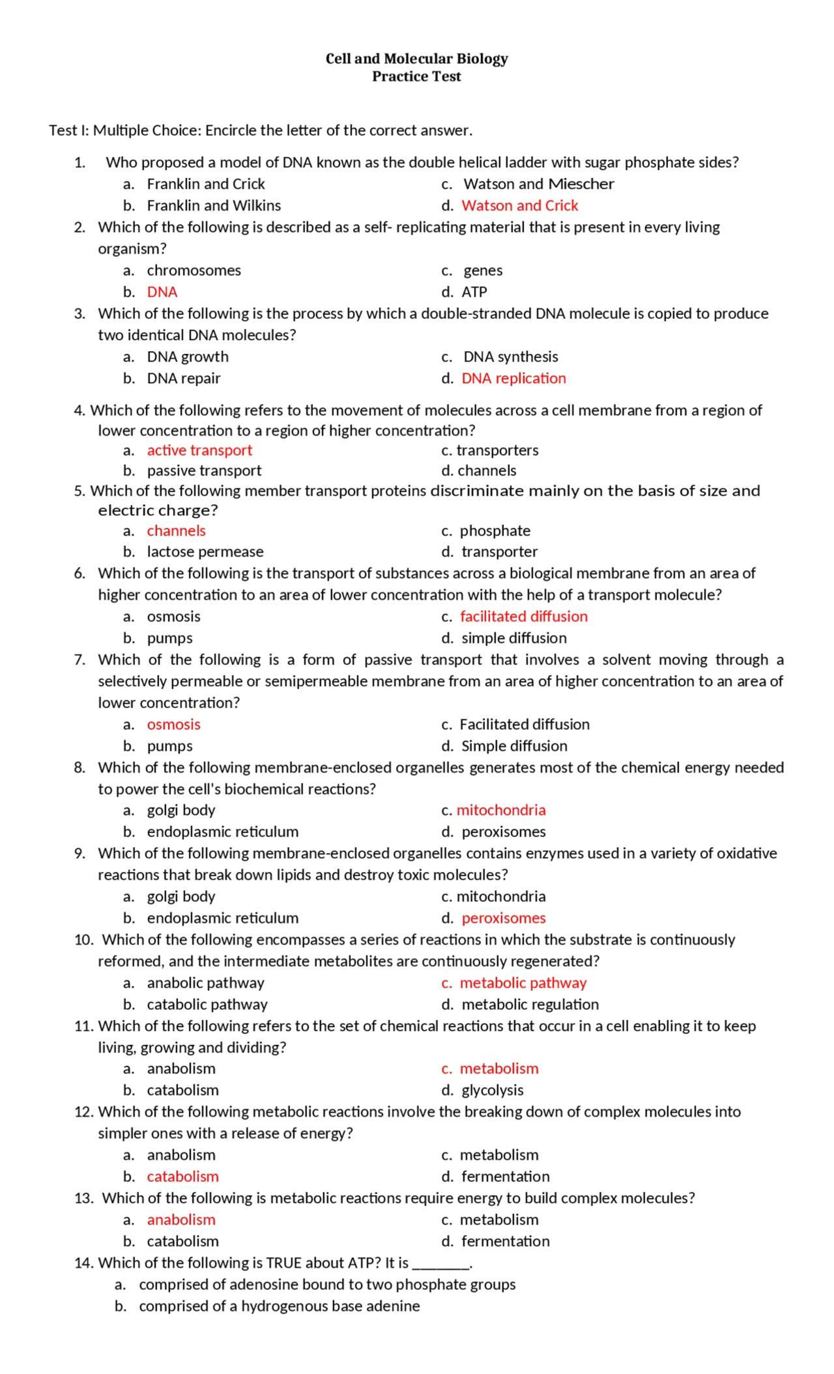 Cell and Molecular Biology Practice Test I: Multiple Choice Quiz - Studocu