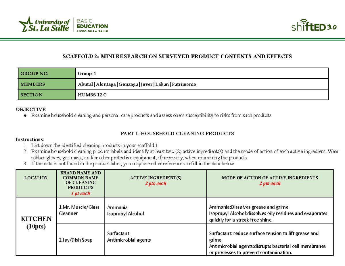 SCAFFOLD 2: Mini Research on Household & Personal Care Products - Group ...