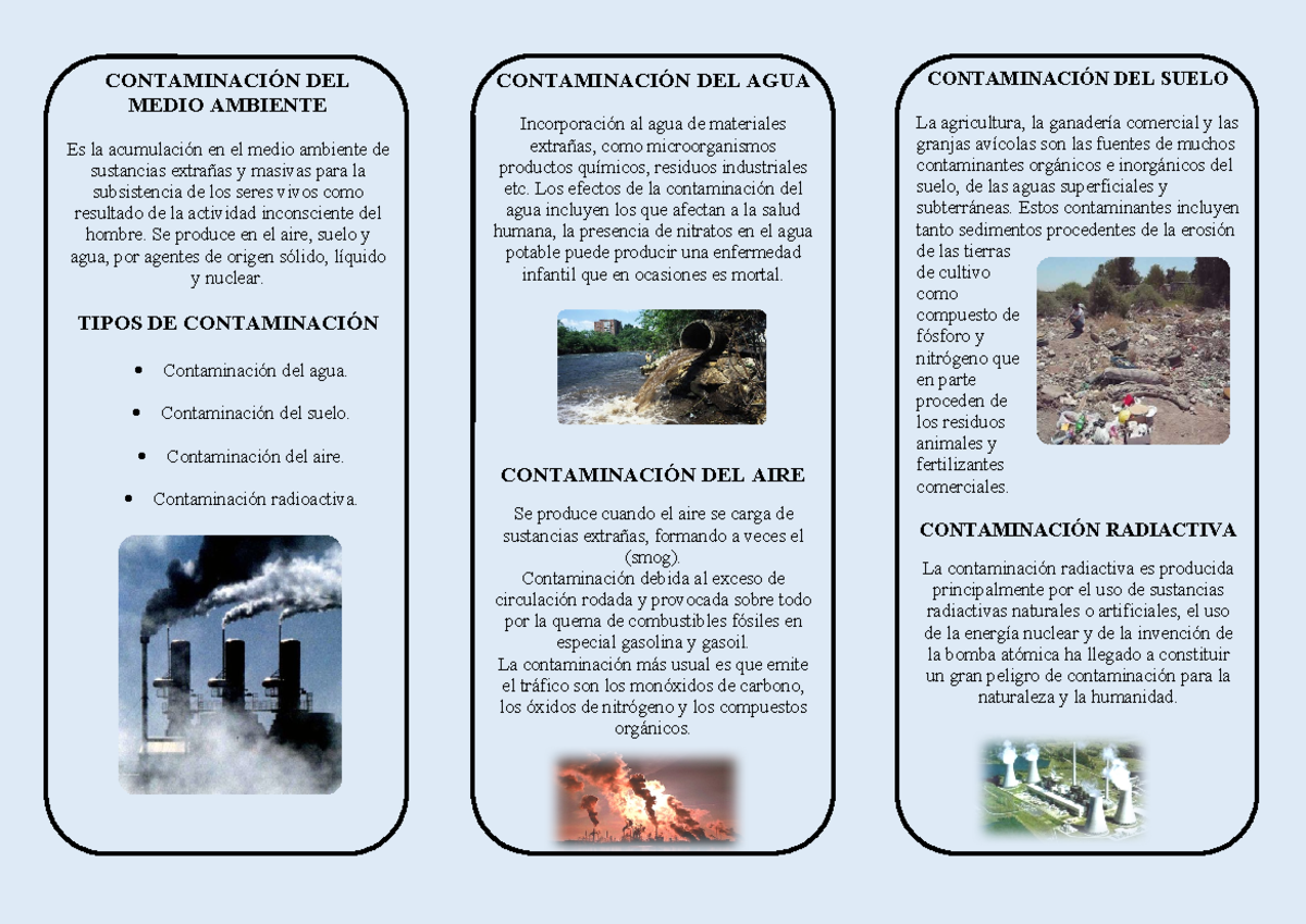 Tríptico sobre la Contaminación del Medio Ambiente - Resumen Completo ...