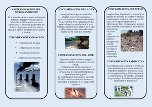 Manual El biohuerto en mi escuela - EL BIOHUERTO EN MI ESCUELA Guía ...