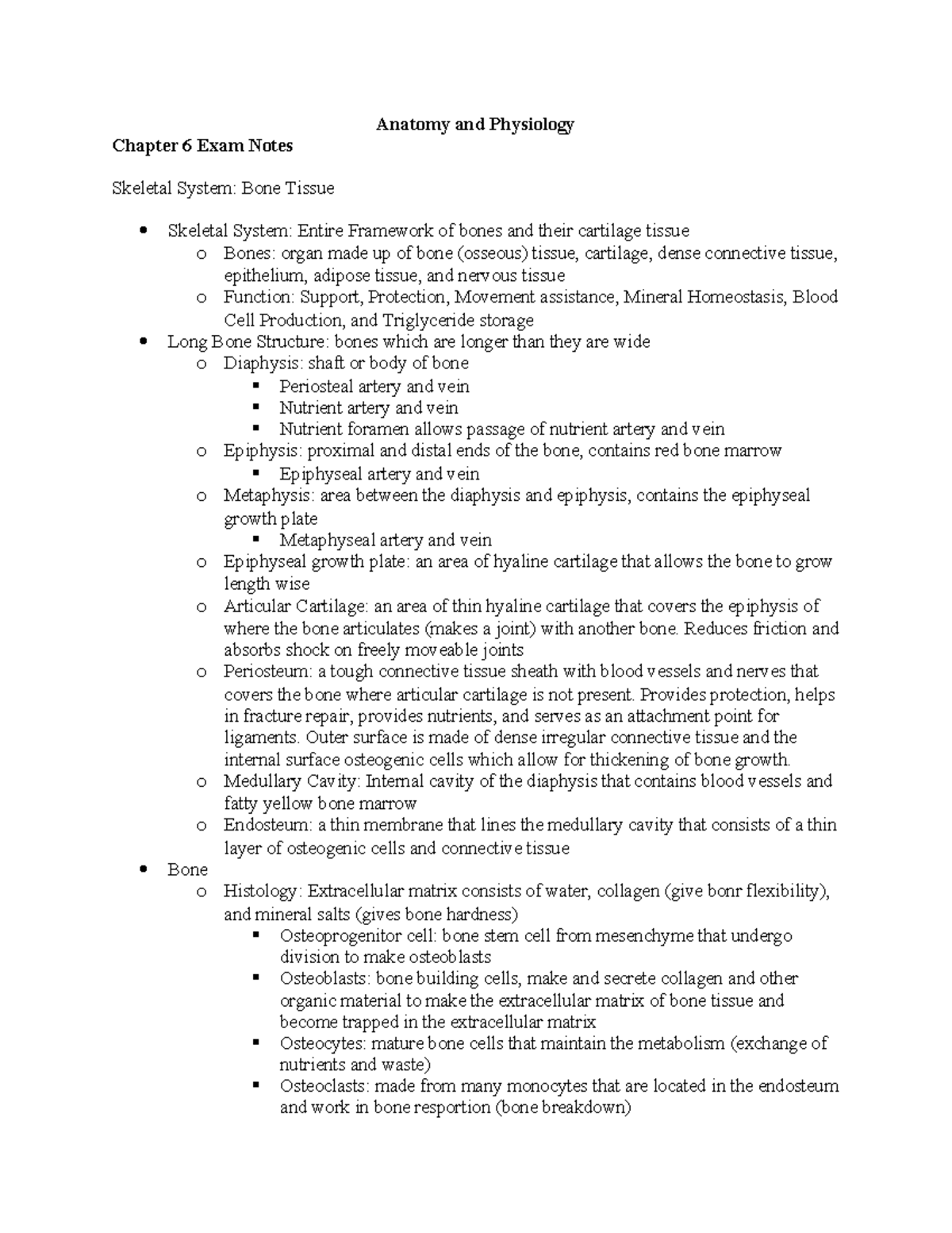 Anatomy and Physiology I: Chapter 6 Exam Notes Summary - Studocu