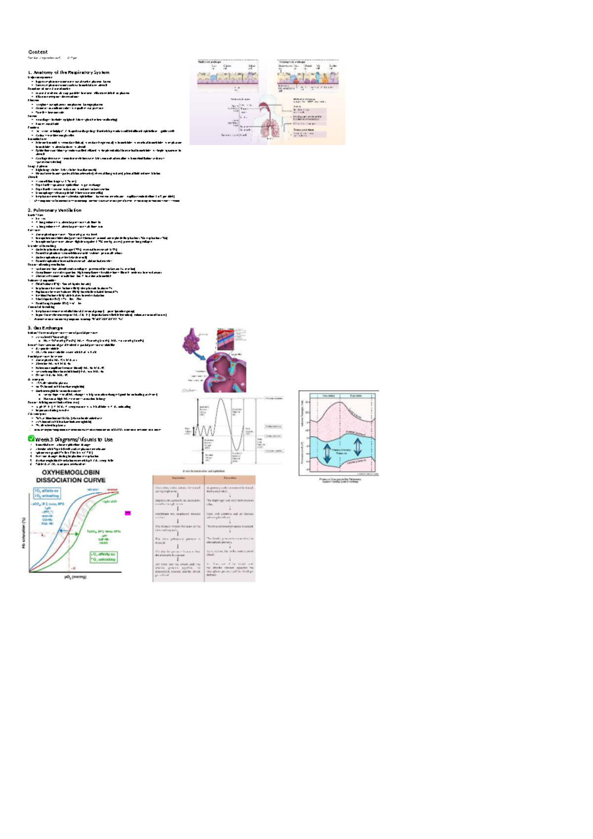 Wk 3 - Lecture Notes on Respiratory System Anatomy & Gas Exchange - Studocu