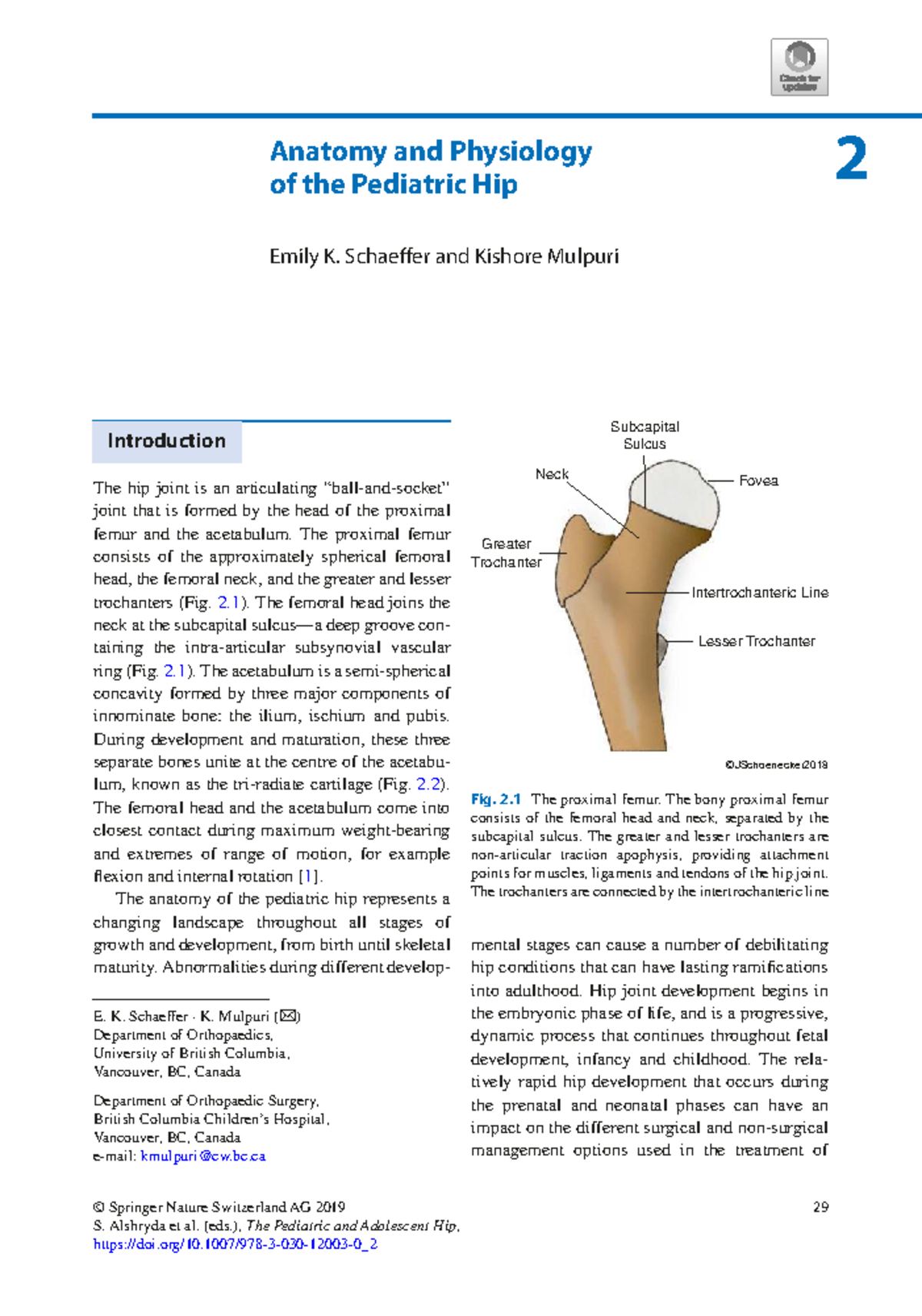 Anatomy and Physiology of the Pediatric Hip (PHYSIO 101) - Studocu