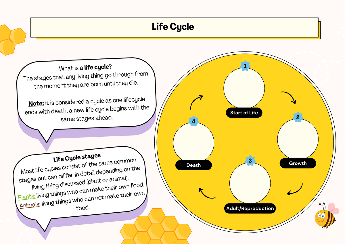 647e35cc 8db0 4130 98e6 1b112dc4c6a0 - Growth Life Cycle 1 2 3 4 Life ...