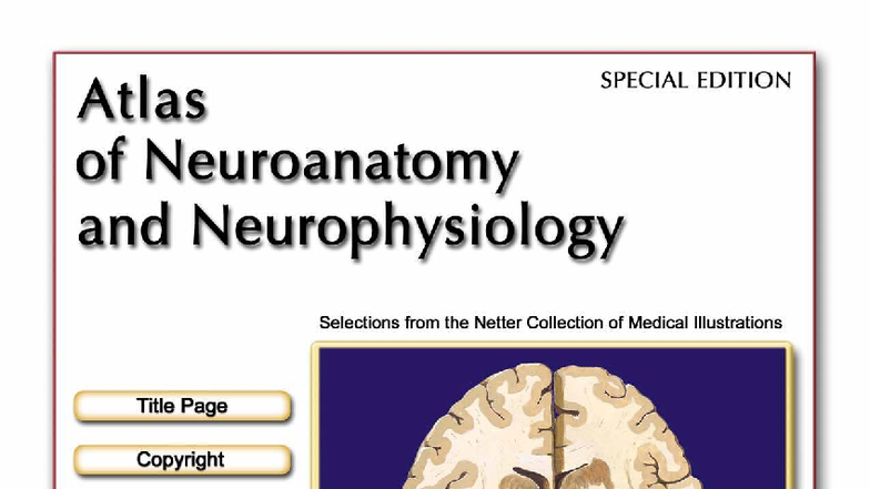 Netter's Atlas of Neuroanatomy and Neurophysiology Insights - Studocu