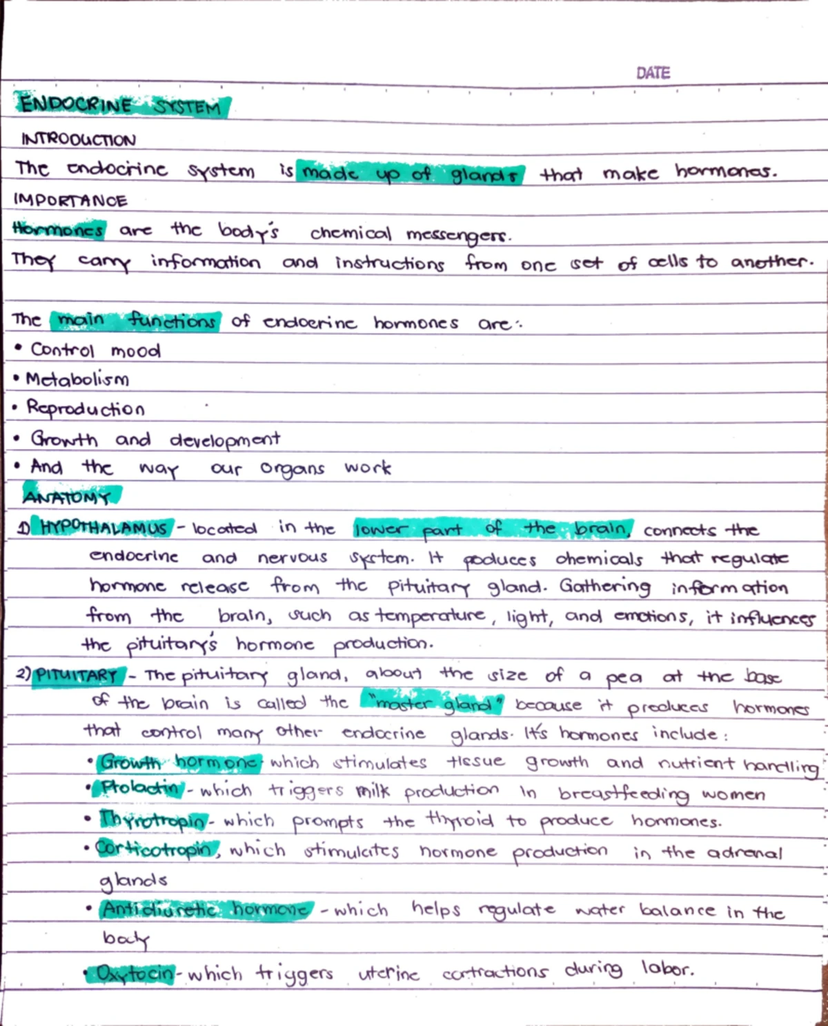 Anaphy- Reviewer: The Integumentary System and Muscle Contraction ...