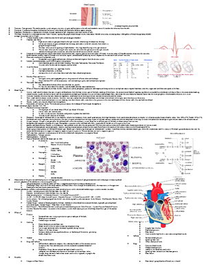 Anatomy Three Column Reference Sheet - Science Olympiad Anatomy ...