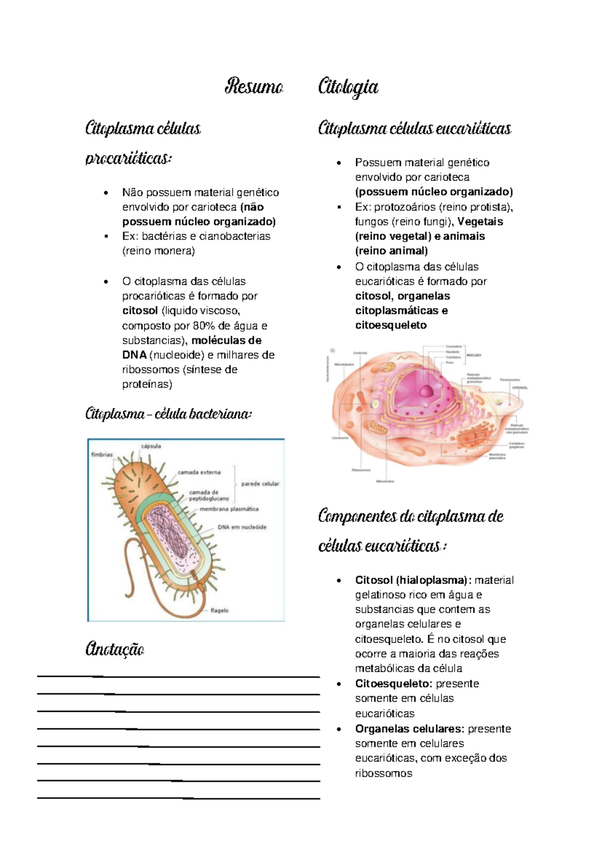 Célula Animal - resumo 1 - Célula Animal A célula animal é uma célula ...