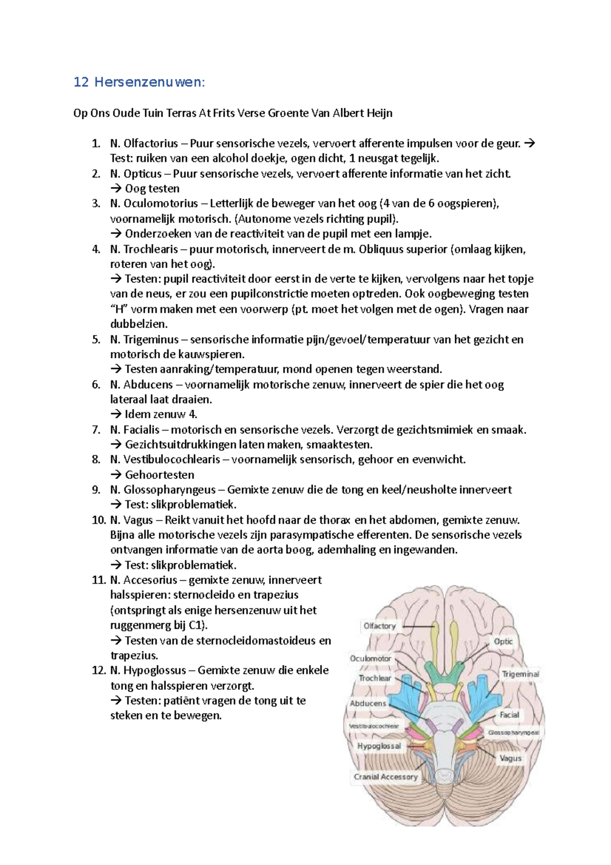 12 Hersenzenuwen Uitleg en Testmethoden - Studeersnel