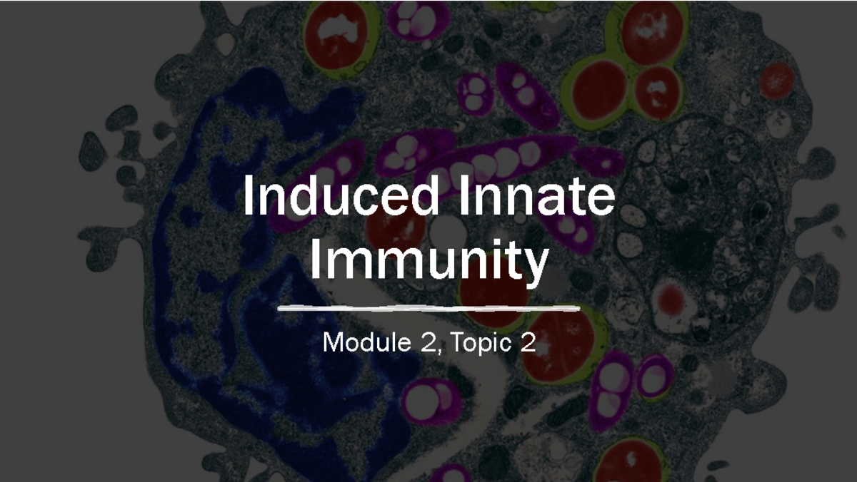 Innate Immunity Overview: Key Concepts and Immune Responses - Induced ...