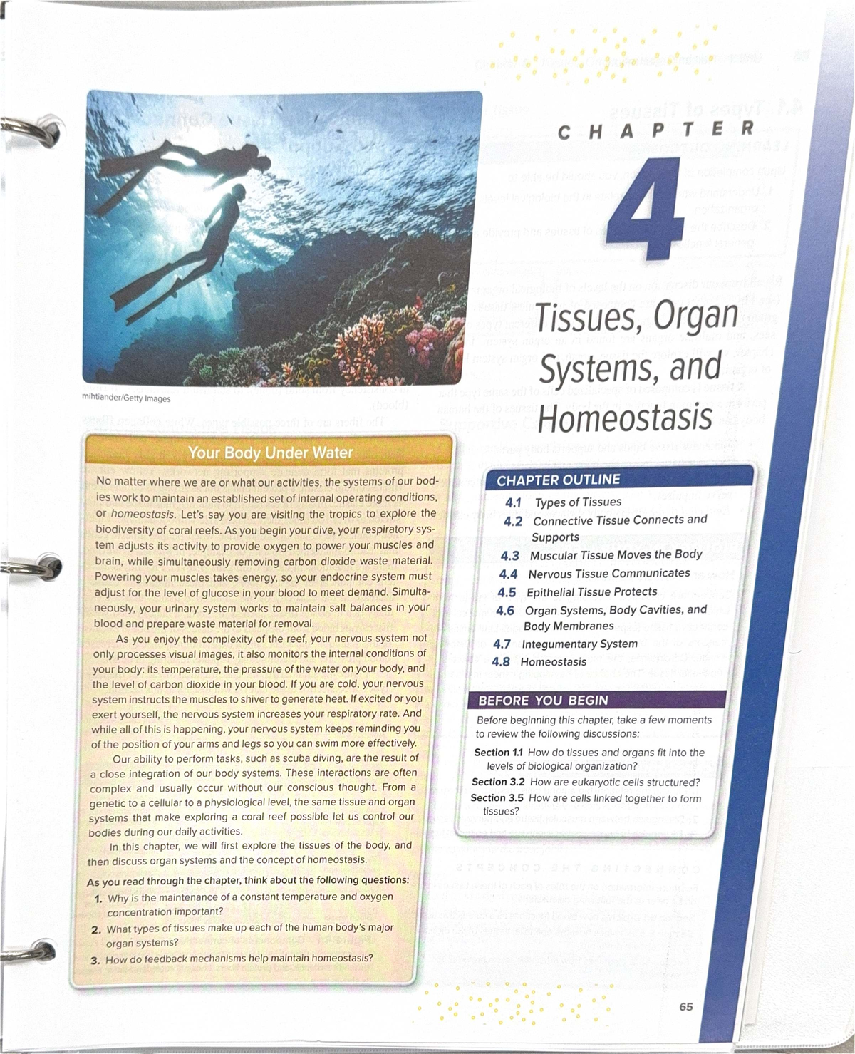 CHAPTER 4: Tissues, Organ Systems, and Homeostasis in the Human Body ...