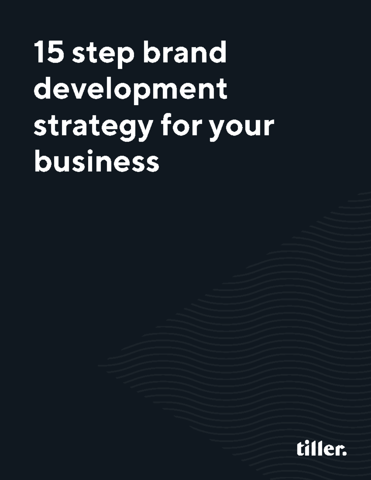 15 Step Brand Development Strategy Tiller - 15 step brand development ...