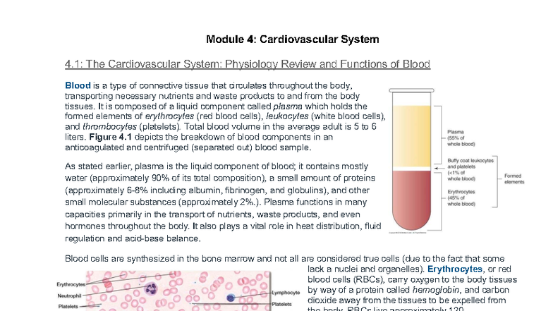 Module 4: Cardiovascular System - Physiology & Hematologic Disorders ...