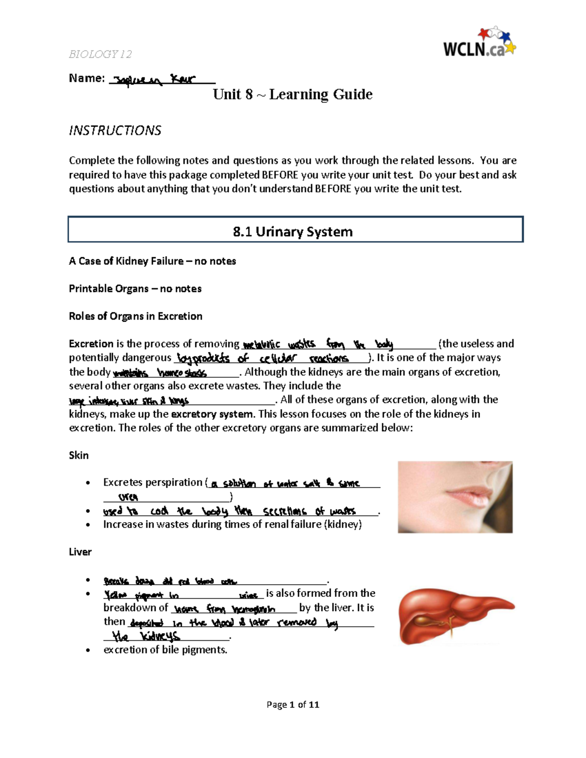 BIOLOGY 12 Unit 8 Learning Guide: Urinary System Overview - Studocu