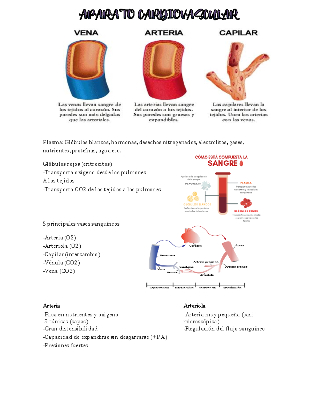 Aparato Cardiovascular: Plasma y Funciones de la Sangre - Studocu