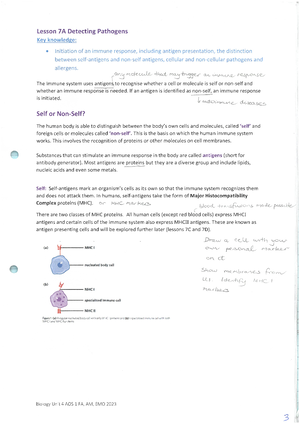 Sunset Boulevard themes summary - Theme Explanation Evidence Analysis ...