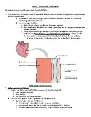 [Solved] Categorize the following cranial nerves motor sensorial or ...