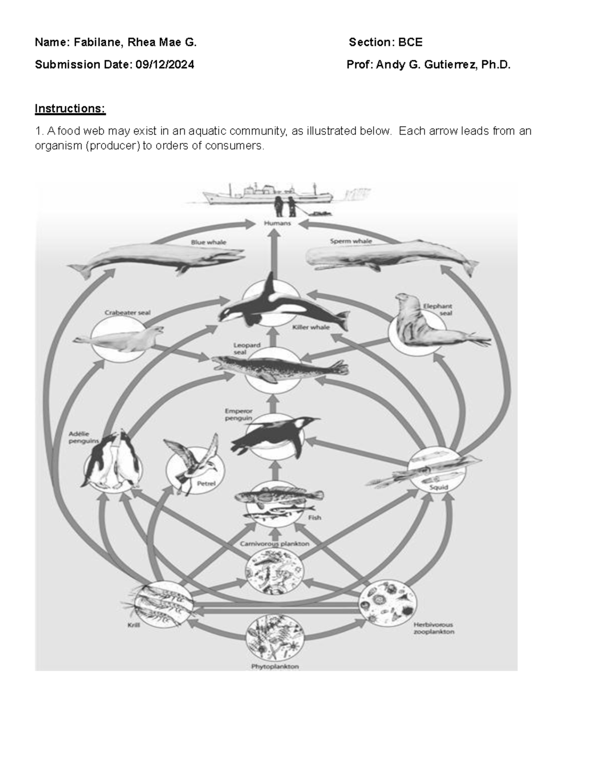 M2 Activity No. 1 Food Web and Energy Pyramid - Name: Fabilane, Rhea ...
