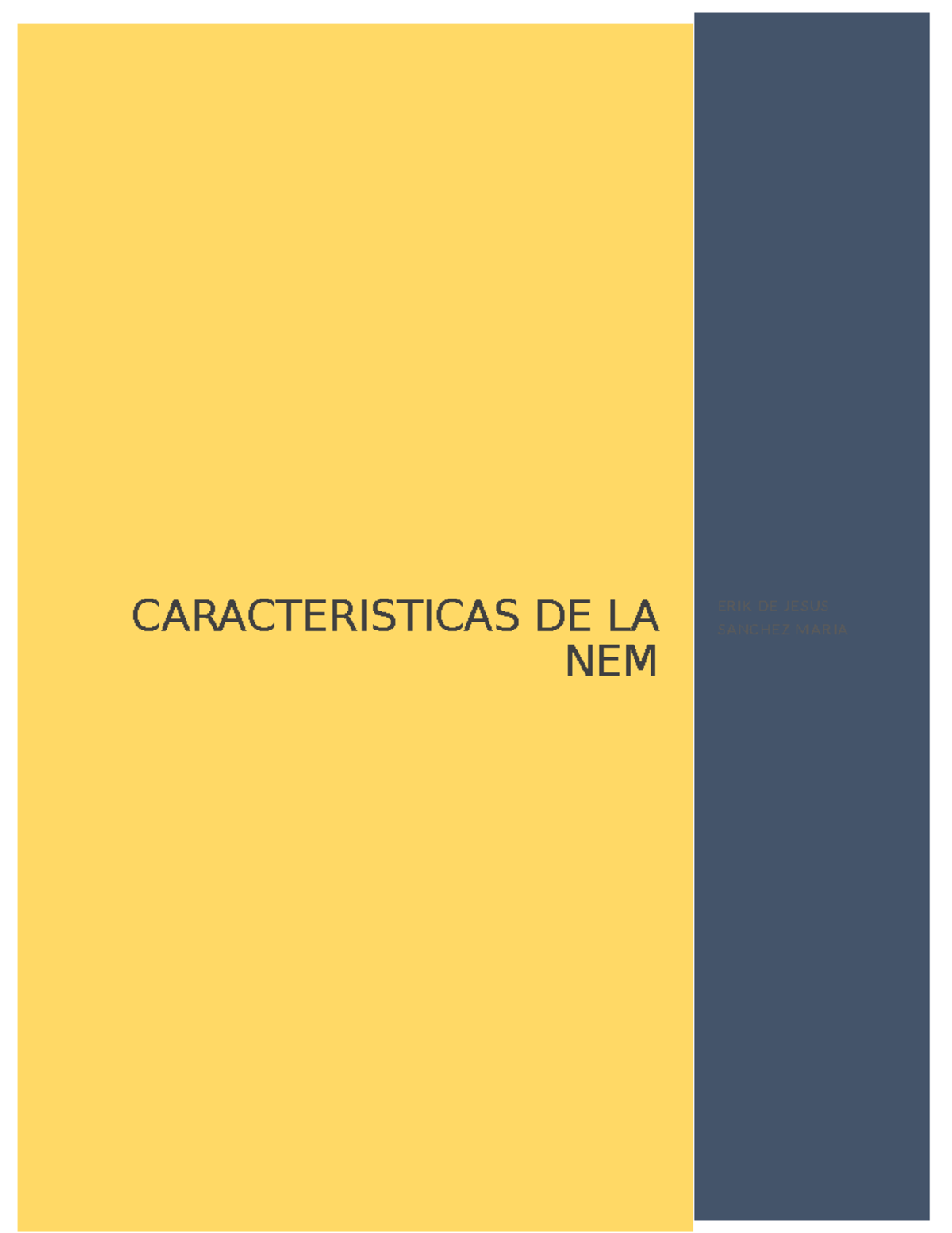 Caracteristicas DE LA NEM - CARACTERISTICAS DE LA NEM ERIK DE JESUS ...