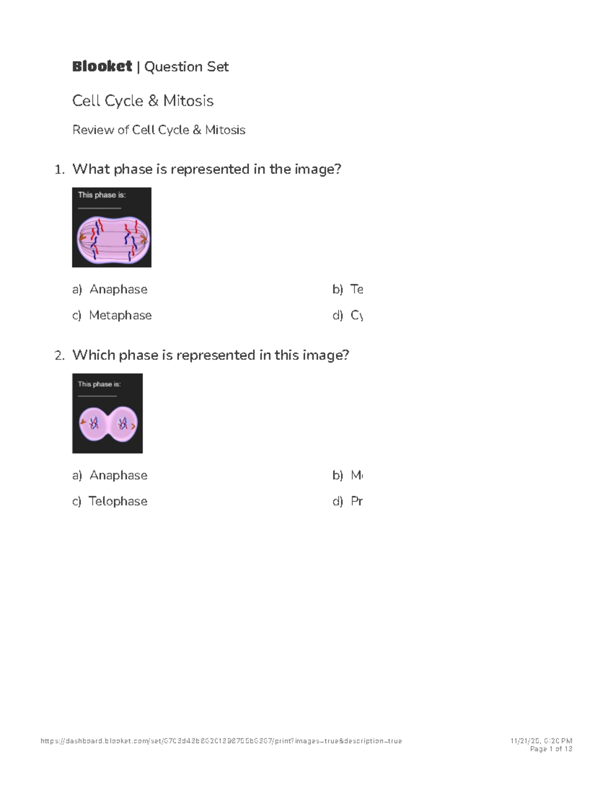 Cell Cycle & Mitosis Quiz Questions - Studocu