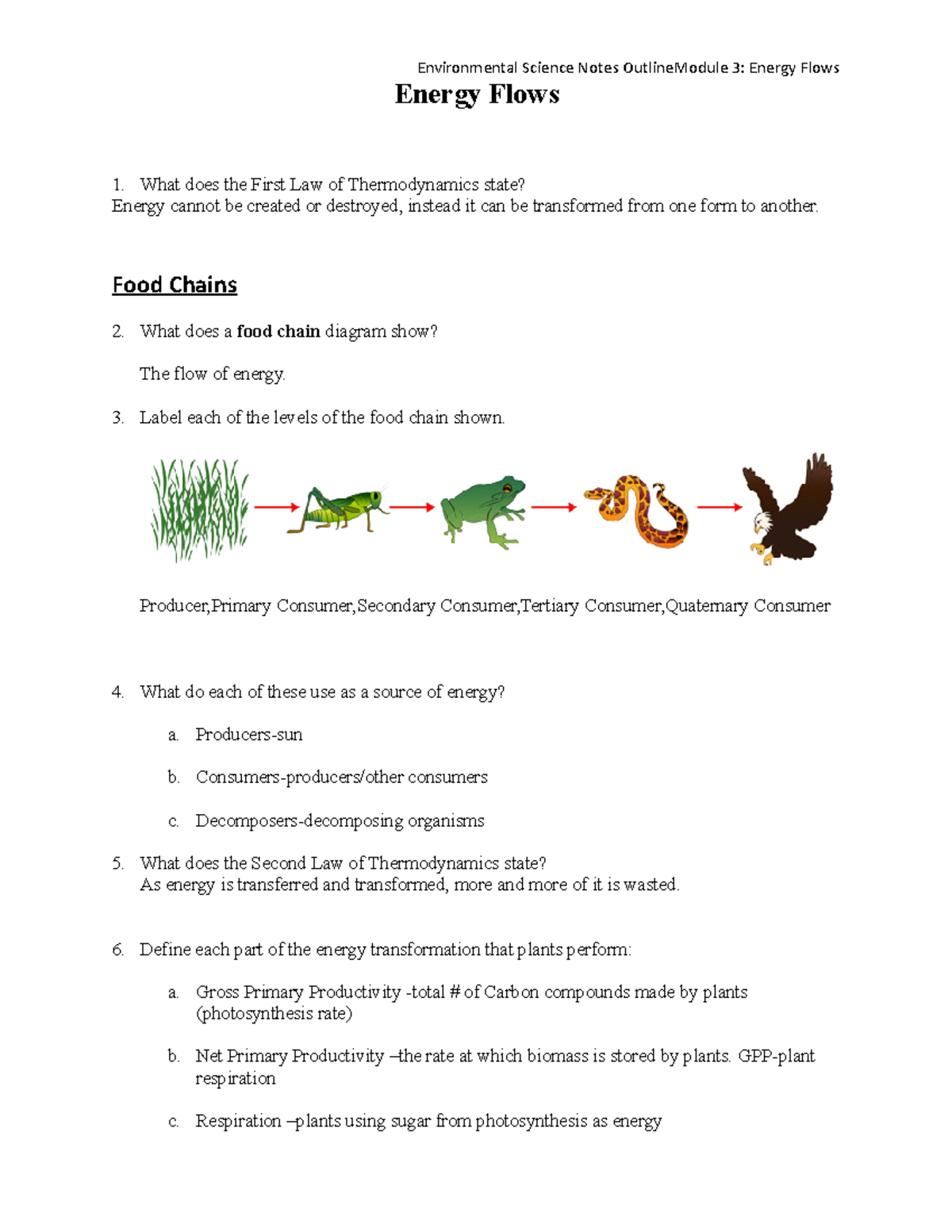 Module 3: Energy Flows Lecture Notes & Key Concepts Review - Studocu