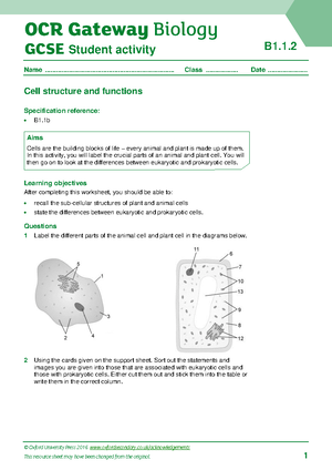 Unit 1 Biology questions - Name ...