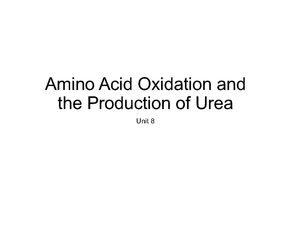 Amino Acid Oxidation & Urea Cycle Mechanics: MBIO 202 Final Notes - Studocu