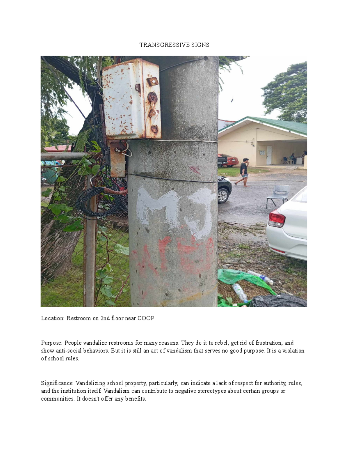 Transgressive Signs: Understanding Vandalism in School Restrooms - Studocu