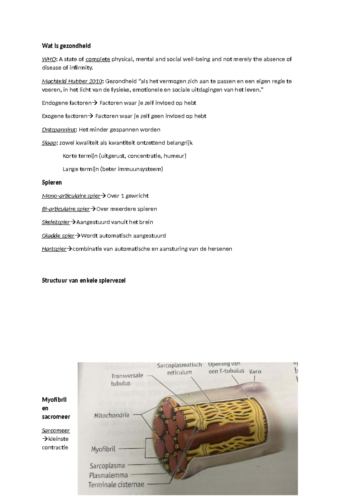 Samenvatting LGF: Gezondheid, Spiercontractie en Trainingsprincipes ...
