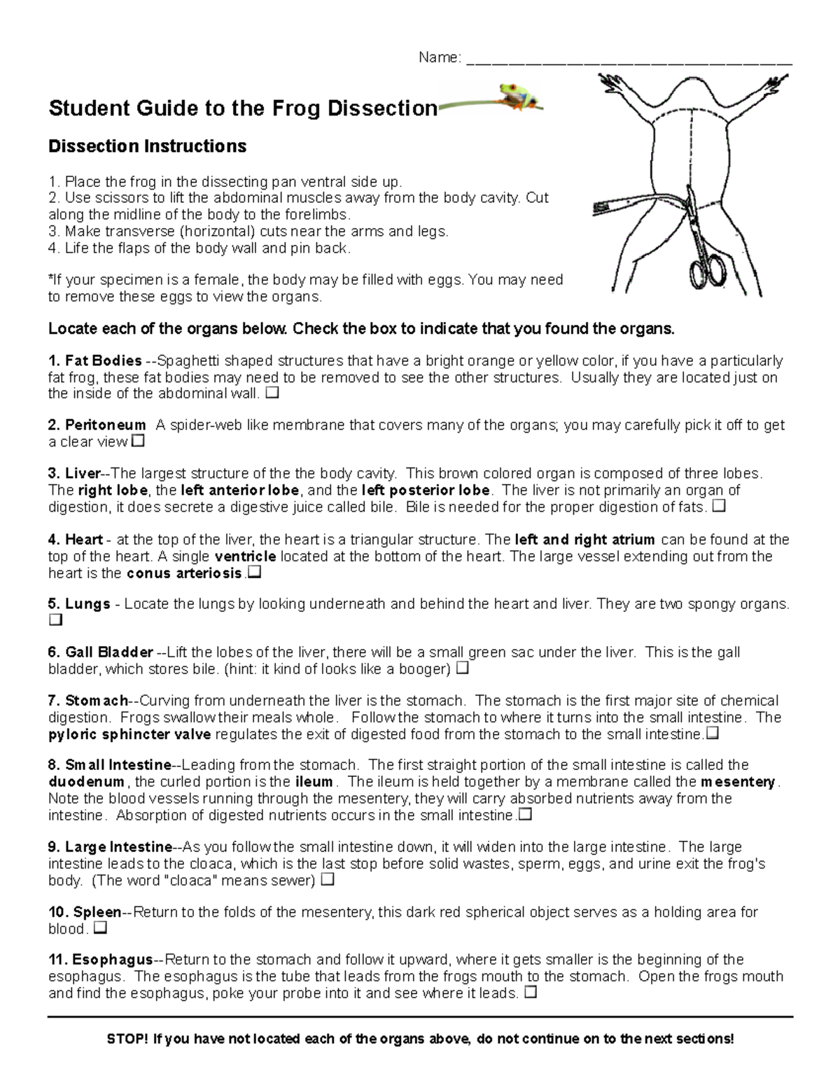 Student Guide to the Frog Dissection - Name ...