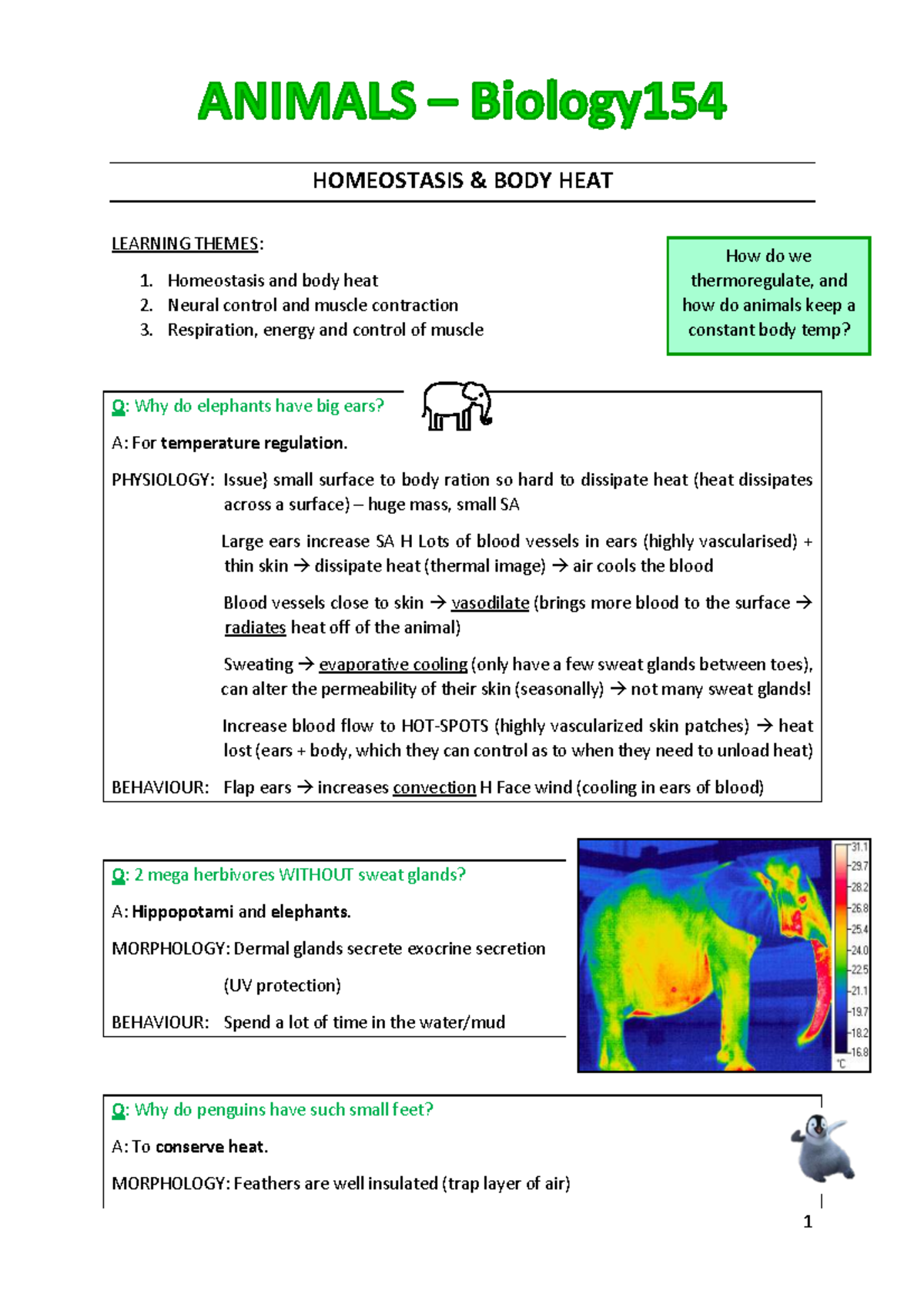 PHYSIOLOGY 101: Homeostasis and Body Heat Mechanisms in Animals - Studocu