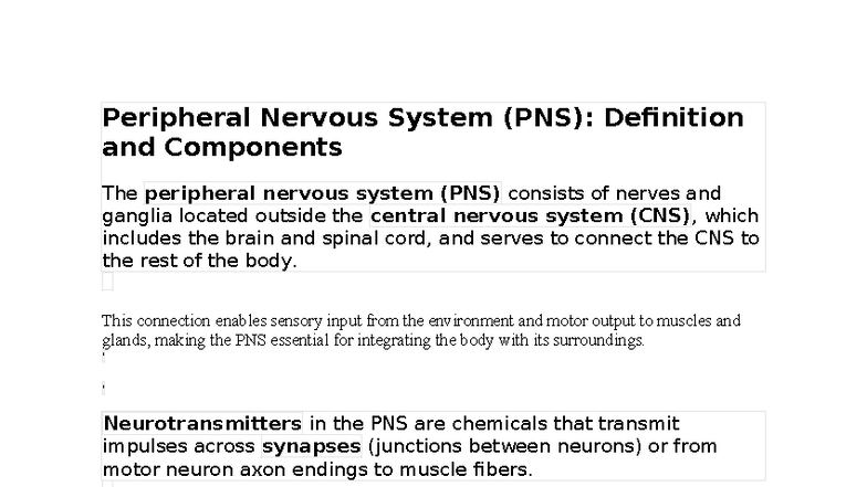 Peripheral Nervous System (PNS): Structure and Function Overview - Studocu