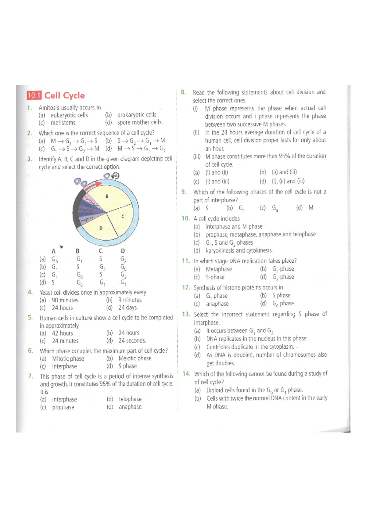C2 G1 & G2 Biology - CELL Cycle WORK Sheet - 8. 10 Cell Cycle Read the ...