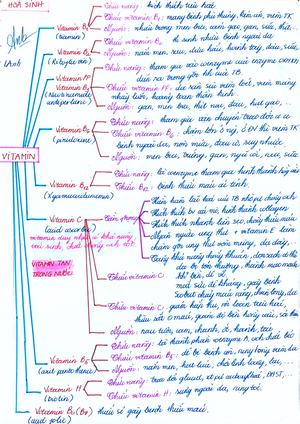 Bài 8: hóa sinh glucid - Bài 8: CHUYỂN HÓA GLUCID I. ĐẠI CƯƠNG: Tổng ...
