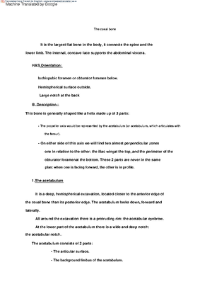 Med Course Summary with Notes and Modifications - Groupe antericur Plan ...
