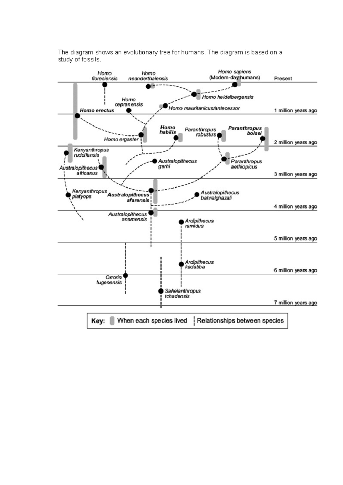 L7 4 Exam Question NT - Evolutionary Tree of Humans - Studocu