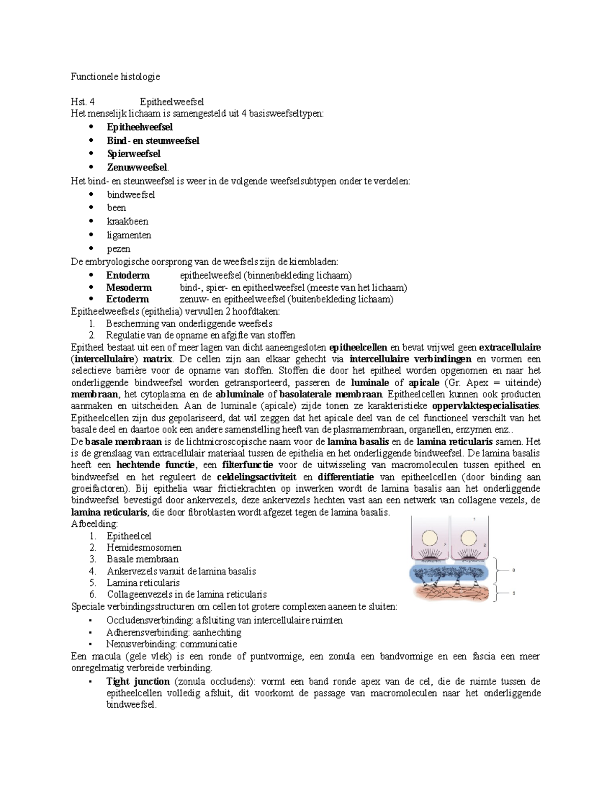 Samenvatting functionele histologie hst 04 epitheelweefsel ...