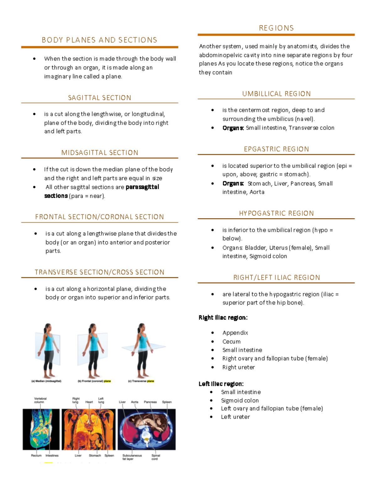 BODY Planes and Sections Overview for Anatomy (ANAT 101) - Studocu