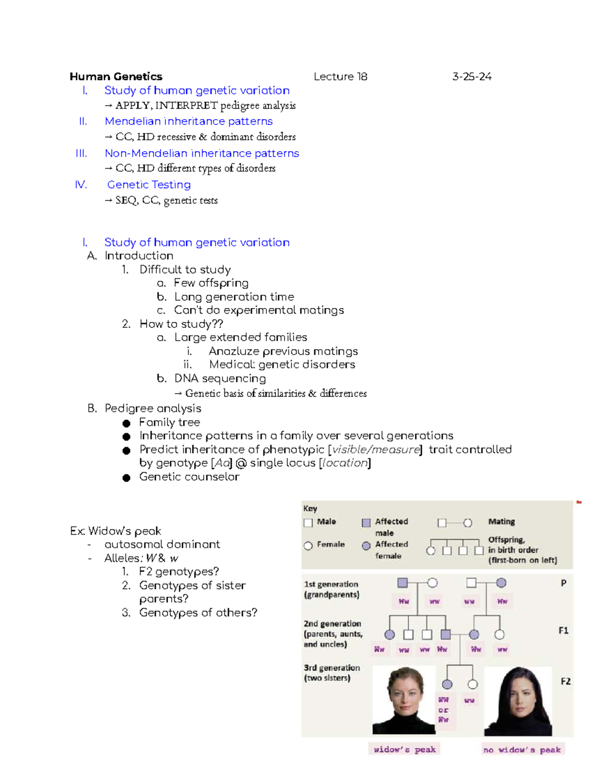 Human Genetics I: Pedigree Analysis & Mendelian Inheritance Notes - Studocu